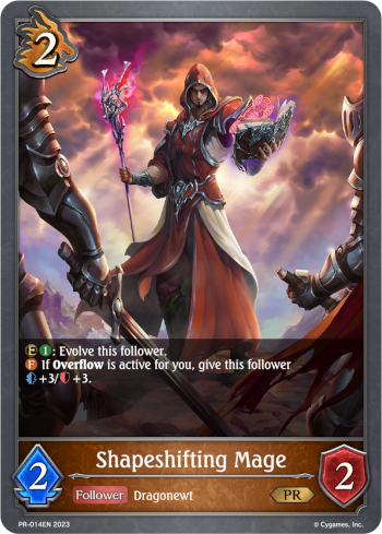 Shadowverse: Evolve Championship Program | Shadowverse: Evolve